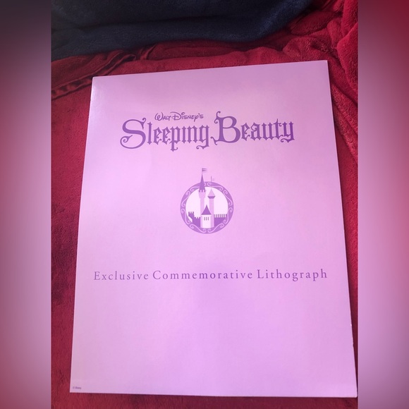 Disney | Wall Decor | Vintage 99s Sleeping Beauty Lithograph | Poshmark